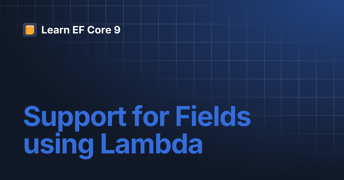 Support for Fields using Lambda | Learn EF Core 9